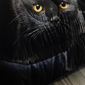 AILONEN 3D Black Cat Comforter Set Twin Size, Hidden Black Cat Bedding Set for Children Boys Girls,Black Theme Bed in a Bag,Soft Microfiber,1 Quilt and 2 Pillowcases for All Season