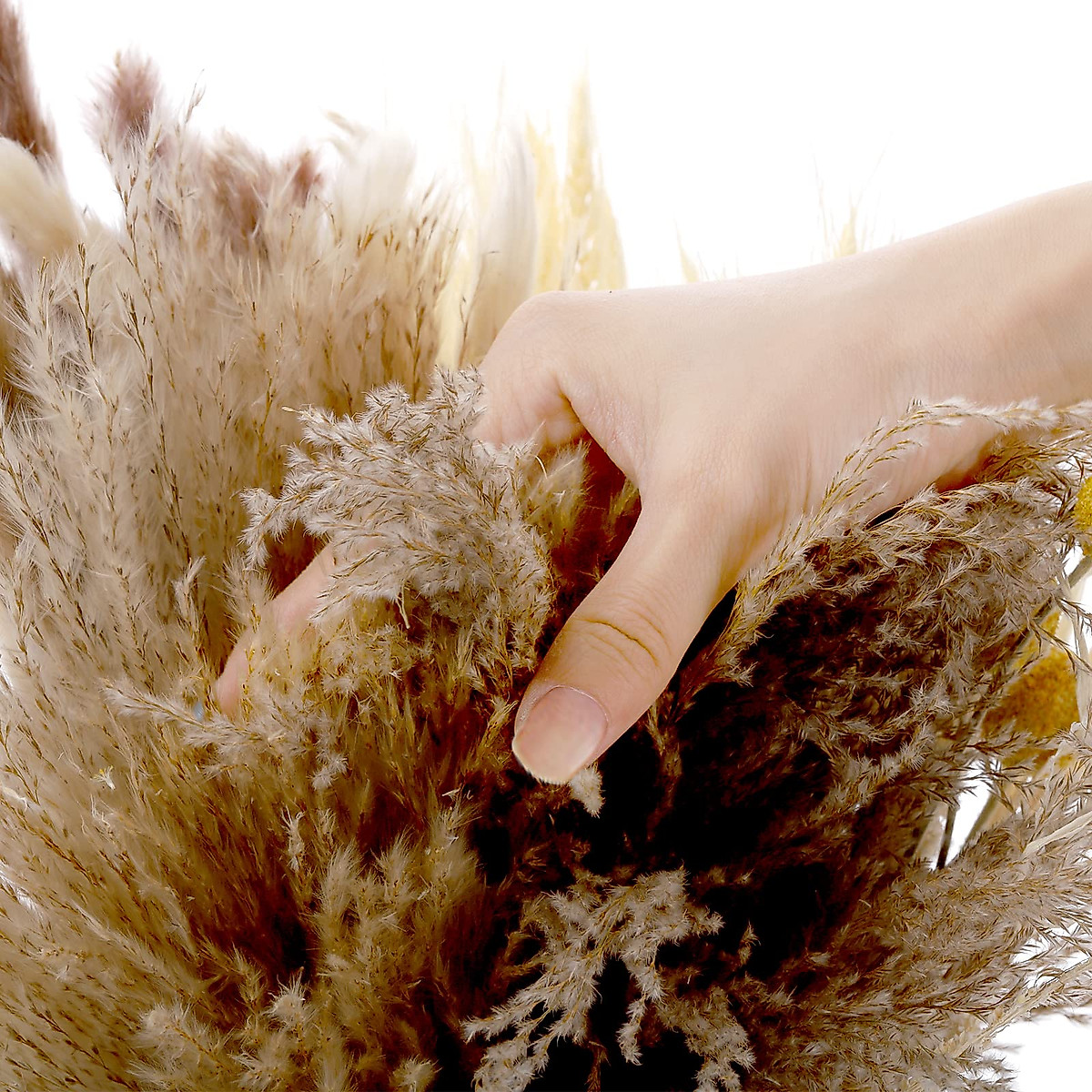 DEAYOU 65 PCS Natural Dried Pampas Grass, 17" Tall Dry Pampas Grass Branches for Boho Decor, Fluffy Pompous Reed Plants Stems Bundle for Flower Arrangements, Home Wedding Decor, 5 Styles