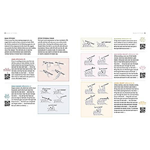 Zoomigurumi Endangered Animals: 15 Amigurumi Patterns of Threatened Wildlife (11)