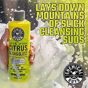 Chemical Guys CWS_301_16 Citrus Wash & Gloss Foaming Car Wash Soap (Works with Foam Cannons, Foam Guns or Bucket Washes) Safe for Cars, Trucks, Motorcycles, RVs & More, 16 fl oz, Citrus Scent
