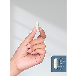 Horbäach D-Mannose | 2100mg | 120 Capsules | Highest Potency | Non-GMO & Gluten Free Supplement