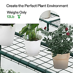 VIVOSUN Transparent 57 x 29 x 77-Inch Mini Walk-in Green House with Windows and Anchors, Plant Garden Hot House