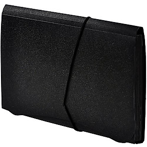 Lion 13-Pocket Small Ex panding File, 5-3/4 x 8-1/2 Inches, Black, 1 File (94300-BK)