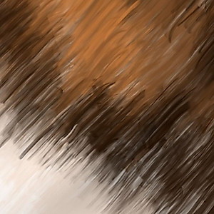 Spoonflower Fabric - Black White Orange Animal Print Fur Calico Cat Hair Watercolor Pencil Printed on Minky Fabric Fat Quarter - Sewing Baby Blankets Quilt Backing Plush