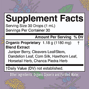 MaryRuth's | Kidney Support Supplement | Urinary Tract Health & Bladder Support for Women & Men | Vegan | Non-GMO | Gluten Free | 1 Fl Oz