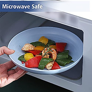 shopwithgreen Wheat Straw Reusable Dinner Plates, Camping Outdoor Plates Sets, for Kitchen, Dorm Room, Microwave Dishwasher Safe, Unbreakable and Lightweight, 8.8 Inch, 4 PCS