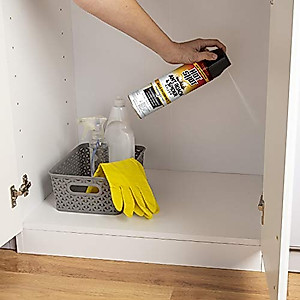 Hot Shot Ant, Roach & Spider Killer, Kills Roaches and Listed Ants On Contact, Indoor & Outdoor Use, (Unscented) 2 Pack, 17.5 Ounce