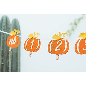 Pumpkin 1st Birthday Photo Banner Orange and Gold Glitter, Pumpkin Patch Baby Monthly New Born Garland 12 month Little Pumpkin First Themed Decorations Baby Thanksgiving Party Milestone Fall Photo