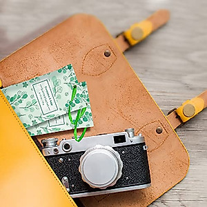 Scented Sachets, Eucalyptus & Sage Sachets, Sneaker Deodorizer Balls, Sneaker Odor Balls