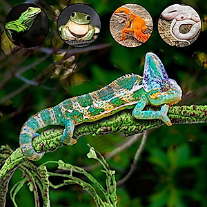 HERCOCCI Reptile Vines, Flexible Jungle Climbing Vines Terrarium Plastic Plants and Leaves Tank Accessories Decor for Gecko Snake Lizard Bearded Dragon Hermit Crab Frog