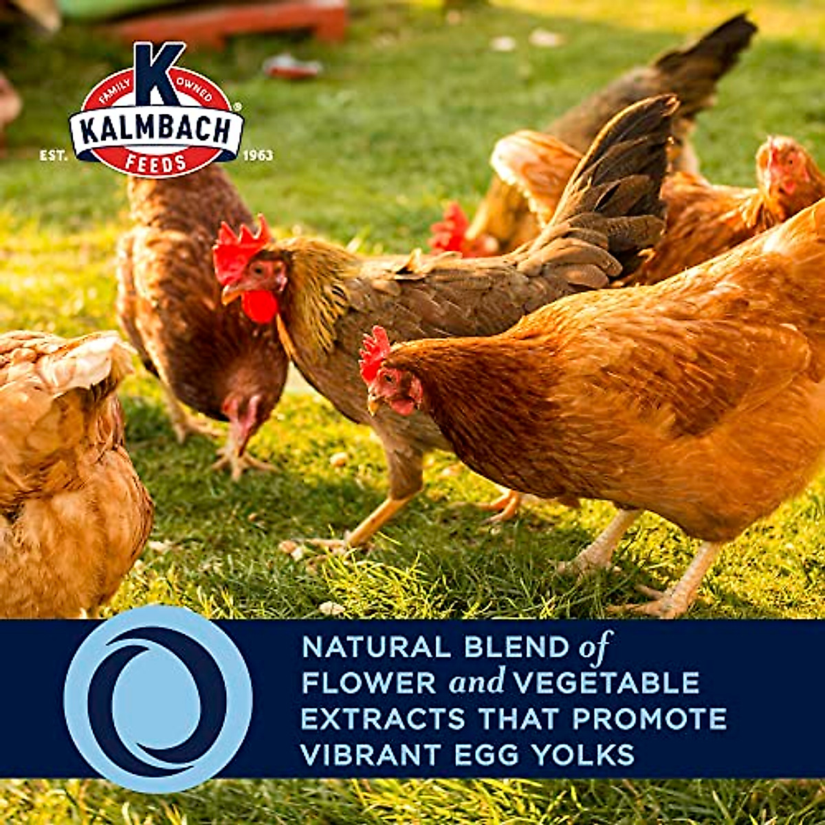 Kalmbach Feeds All Natural Poultry Block, 25 Lb