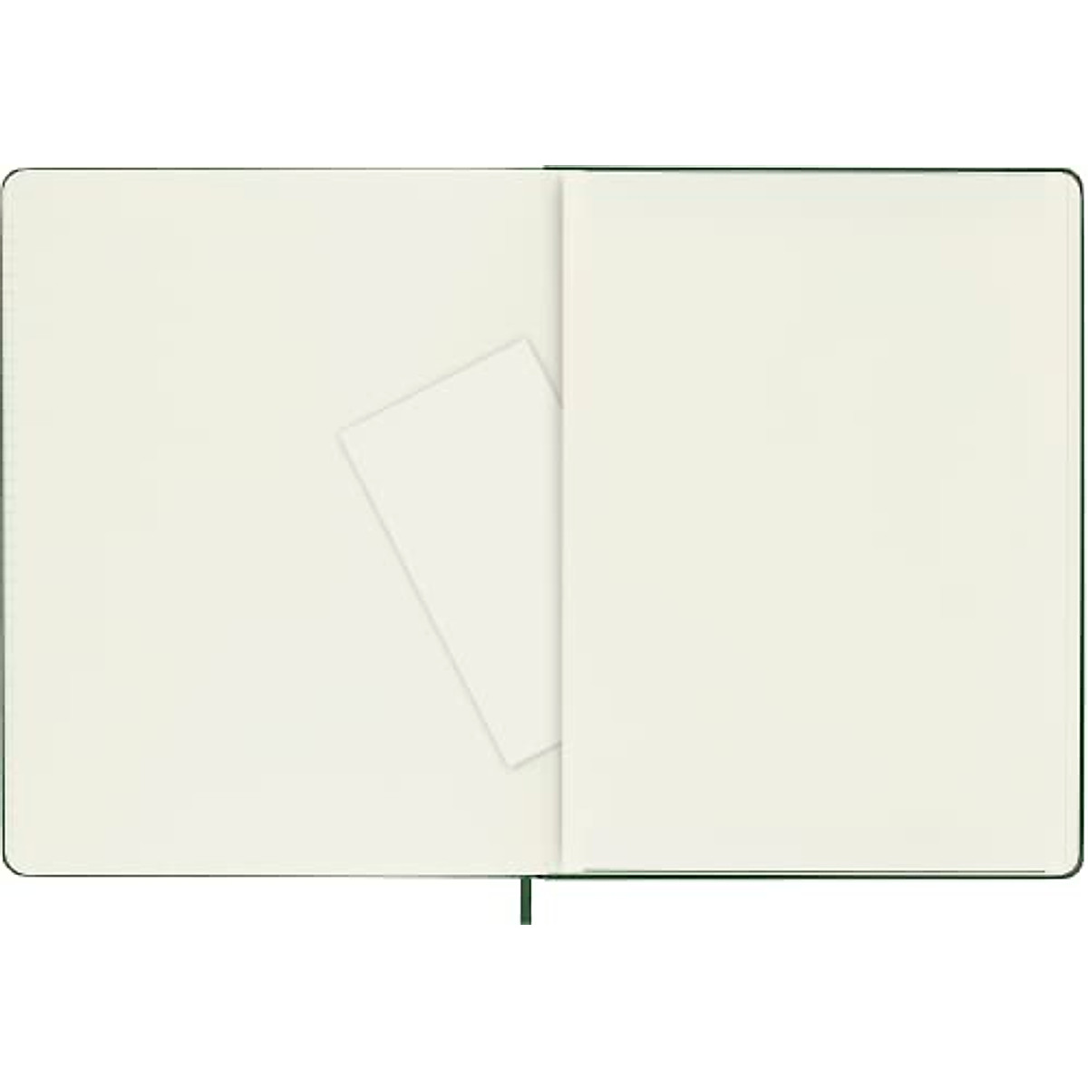 Moleskine Notebook, Extra Large, Ruled, Myrtle Green, Hard Cover (7.5 x 9.75)
