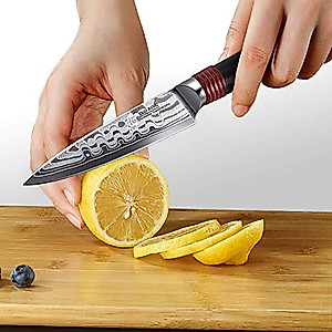 TUO Damascus Kitchen Knife Set, 8" Chef Knife and 3.5" Peeling Paring Knife, Japanese AUS-10 High Carbon Steel, Full Tang Military Grade G10 Handle, Dishwasher Safe Ring-D Series, 2-Piece