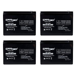 ExpertPower 12V 10AH SLA Battery Replaces REC10-12 ES10-12S PSH-12100F2 UB12100-S - 4 Pack