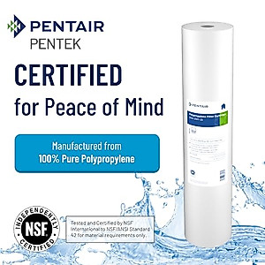 Pentair Pentek DGD-7525-20 Big Blue Water Filter, 20-Inch Whole House Sediment Filter Cartridge Replacement, Dual-Gradient Density Spun Polypropylene, 20" x 4.5", 25 Micron, Pack of 1, White