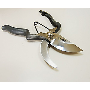 Soke Hidehisa Professional Garden Shears YP200 (Japan Import)