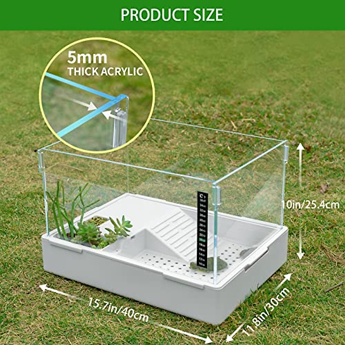 BETAZOOER Turtle Tank with Adjustable Water Pump Filter, Full View Visually Tortoise Aquarium Habitat, Easy Changing Water and Clean for Small Amphibious Creatures Reptiles (15.7×11.8×10Inch)