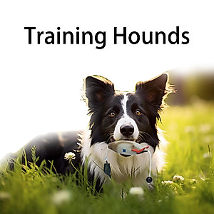 YardGo Duck Dog Toy, The Bird Dummy Teaches Mallard Waterfowl Game, Pet Dog Training Fake Duck Retrieval Duck Chewing Toys Perfect Size, Suitable for Puppies or Adult Hunting Dogs, 33X7X6cm