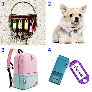Cuttte 50 Pack Plastic Key Tags with Container, Key Labels with Ring and Label Window, 10 Colors