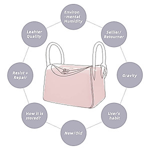 DGAZ Purse Pillow Shaper Insert for Luxury Handbags, Silky Pillow Shaper for Lindy 19/26/30/34 Bags(Pink,LD19)