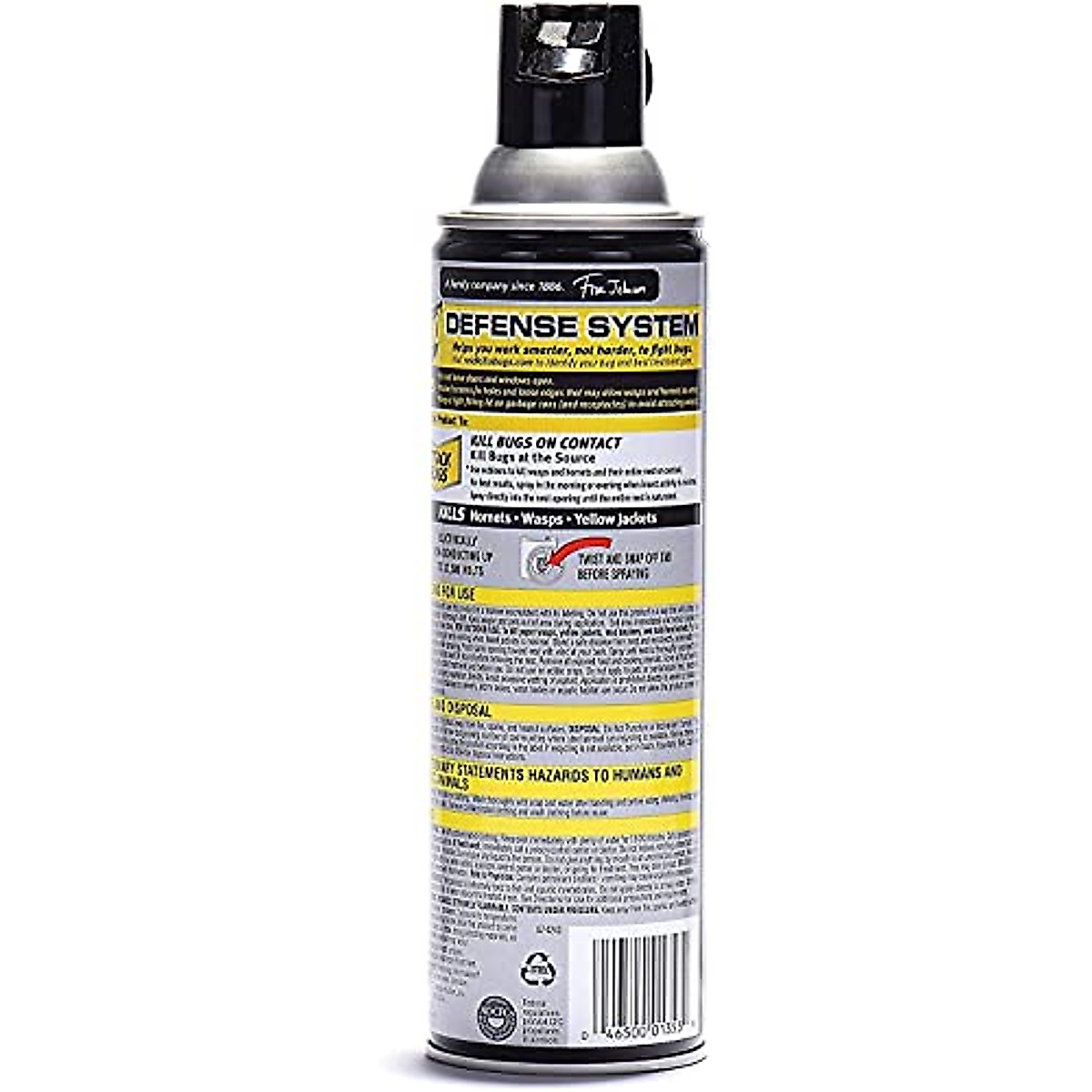 Raid Wasp Hornet Killer Spray (14 Ounce (Pack of 1)