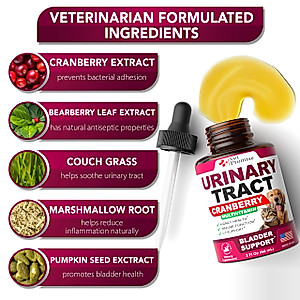 Cat & Dog UTI Treatment - Cranberry Supplement for Dogs UTI - Bladder Control - Dog Urinary Tract Infection Treatment - Dog & Cat UTI Medicine - Dog Cranberry Supplement Vitamins Multivitamin