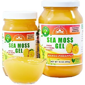 EverSmith Organics - Wildcrafted Irish Sea Moss Gel | Made in USA | Rich in Vitamins & Minerals | Sea Moss Gel Organic Raw | Nutritional Supplement | Mango Pineapple (16 oz)