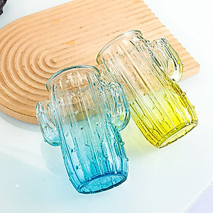 123Arts Glass Relief Cactus Candy Jar Candy Dish Container Snack Jar Food Storage Jar with Lid