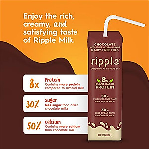 Ripple Vegan Protein Shake, Chocolate 12 Fl Oz (12 Pack) & Ripple Vegan 8 oz Dairy-Free Milk, Chocolate (12 Pack) | 24 Pack