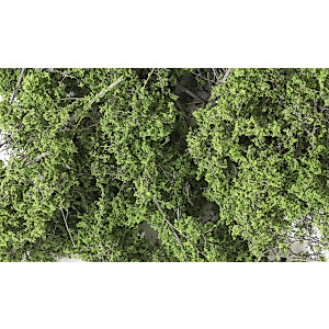 Fine Leaf Foliage, Medium Green/80 cu. in.