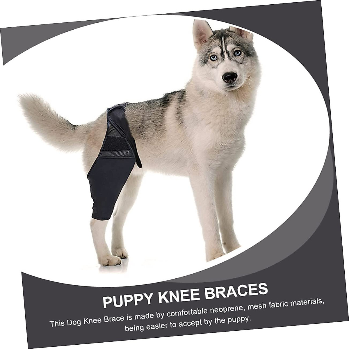 DRESSOOS Dog Foreleg Support Brace Dog Hindleg Cover Dog Leg Braces for Foreleg Dog Back Leg Protector Dog Bandages for Wounds Cat Leg Splint Dog Joint Supplies Pet Neoprene Fabric Puppy
