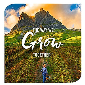 Nature's Way Sambucus Elderberry Immune Syrup with Vitamin C, Echinacea, & Zinc, Immune Support*, 4 Fl. Oz. (Packaging May Vary)