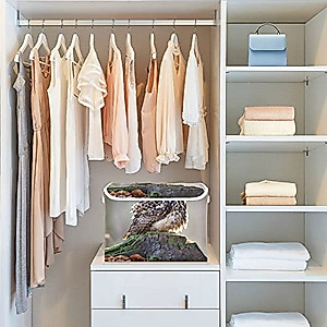 Kigai Storage Basket Cute Owl Storage Boxes with Lids and Handle, Large Storage Cube Bin Collapsible for Shelves Closet Bedroom Living Room, 16.5x12.6x11.8 In