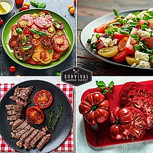 Survival Garden Seeds - Heirloom Rainbow Mix Tomato Seed for Planting - Packet with Instructions to Plant and Grow in Your Home Vegetable Garden - Non-GMO Heirloom Variety - 2 Packs