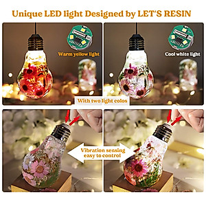 LET'S RESIN Light Bulb Resin Molds, 2PCS LED Bulb Silicone Molds for Resin, Large Resin Silicone Molds with 10PCS Caps, 4PCS LED LED Chip Base, Unique Resin Molds for Home Decor, DIY Gift