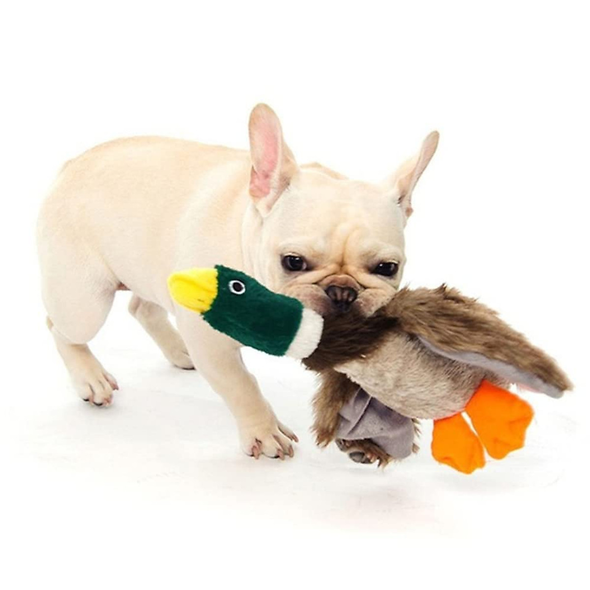 Duck Dog Toys for Aggressive Chew, Squeaky Dog Toy,Plush Puppy Dog Chew Toy for Small Medium Dogs