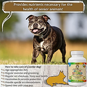 Prenatal Dog Vitamins – Multivitamin for Dogs and Cats with Folic Acid, Minerals and Amino Acids. Ideal for Pregnant, Breast Feeding and Newborn Pets – Senior Dog Supplement, Complete Puppy Vitamins.