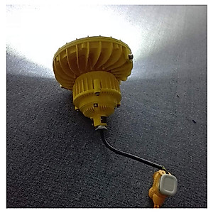 100w led Explosion-Proof Light high Bay Explosion Proof led Light with Exdemb II CT6 and Anti-Corrosion Rating WF2, IP66 Waterproof ATEX LED Gas Station Light (100)