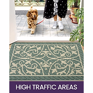 DEXI Front Door Mat Entryway, Inside Entrance Doormat, Non Slip Washable Entry Mats, 23.5x35.5,Dark Sea Green