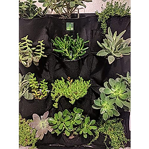 Delectable Garden Cloth 12 Pocket Hanging Vertical Garden Wall Planter for Yard Garden Home Decoration
