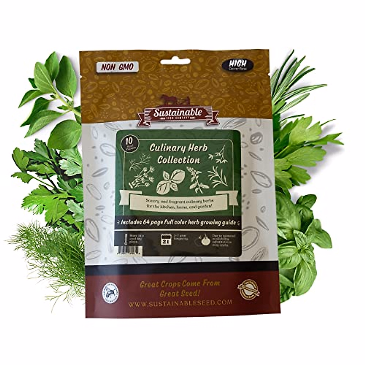 Culinary Herb Seeds Variety Pack - Outdoor & Indoor Herb Garden Kit - 10 Non-GMO Herb Garden Seeds for Planting & Book - Basil Seeds, Dill Seeds, Rosemary Seeds, Thyme Seeds, & More