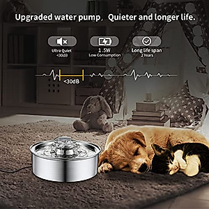 Cat Water Fountain,Stainless Steel Pet Water Fountain for Cats Inside,Automatic Cat Water Dispenser,Cat Fountain Water Bowl with Ultra Quiet Pump for Cats and Small Dogs (Silver)