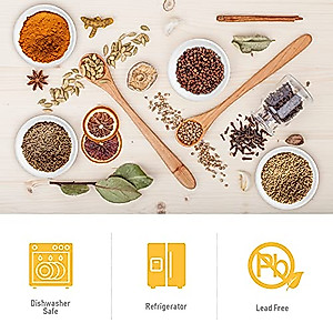 Cabilock 10pcs Sauce Dishes Appetizer Plate Soy Sauce Dipping Dishes Condiment Dishes Mini Serving Bowl for Buffet Side Dishes Ketchup BBQ Dinner