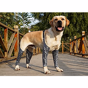 Dog Pants to Prevent Licking for Small Medium Large Breeds, Adjustable Dog Leggings, Leggings for Pets Grey 2X-Large