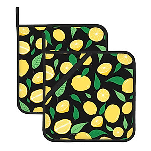 Square Insulated Pot Holder Sets of 2,Lemon Fruit Printed Pot Holders for BBQ Cooking Baking