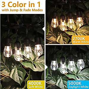 Mlambert 2 Pack 3-Color in 1 48Ft LED Dimmable Outdoor String Lights with Remote for Patio, Plug-in Warm White Soft White Daylight White Waterproof Hanging Edison Bistro Cafe Light-Total 96Ft