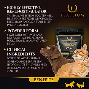 Lexelium Immune Support for Cats and Dogs - Natural Immunity Supplement Powder Helps Detoxify and Protect Your Pets from Digestive, Respiratory and Skin Issues - Helps with Chronic Infections - 200g
