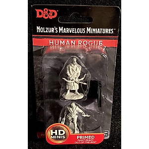 D&D Nolzur's Marvelous Miniatures - Male Human Rogue
