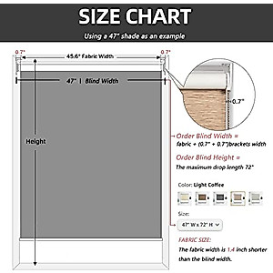 RED GRAPES Roller Window Shades,100% Blackout UV Protection Roller Blinds,Window Blind with Thermal Insulated,Window Shade for Home Office Living Room,Easy to Install(Gray, 36'')