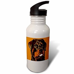 3dRose Cartoon Style Nerdy Rottie Sticking Tongue Out - Water Bottles (wb_357086_2)